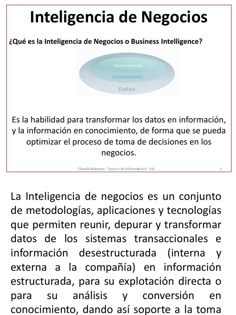 Conceptos Inteliencia de Negocios-Fusionado | PDF | Planificación ...