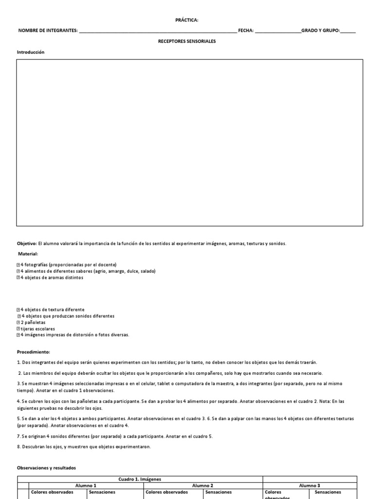 PRÁCTICA RECEPTORES SENSORIALES | PDF