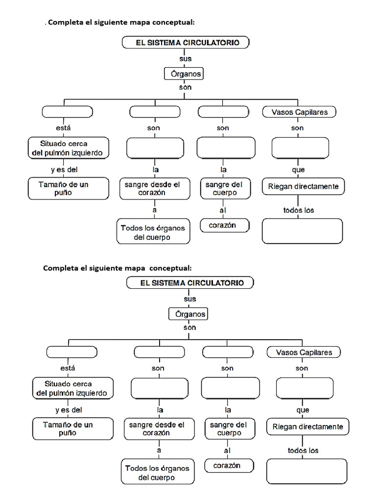 Completa El Siguiente Mapa Conceptual | PDF