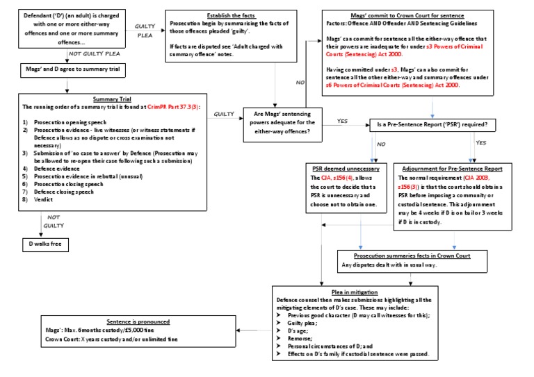 Adult charged with either way and summary offences | PDF | Prosecutor ...