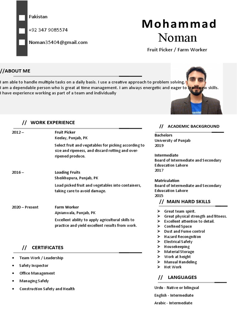 CV Mohammad Noman English | PDF