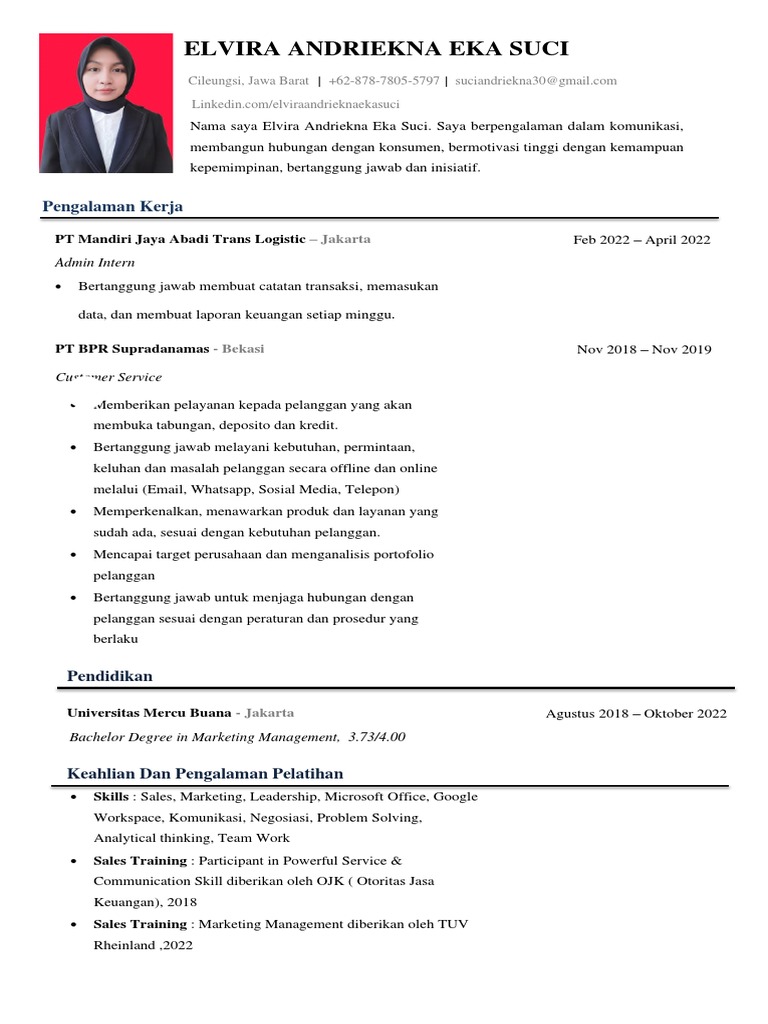 CV Elvira Andrieka Eka Suci L | PDF