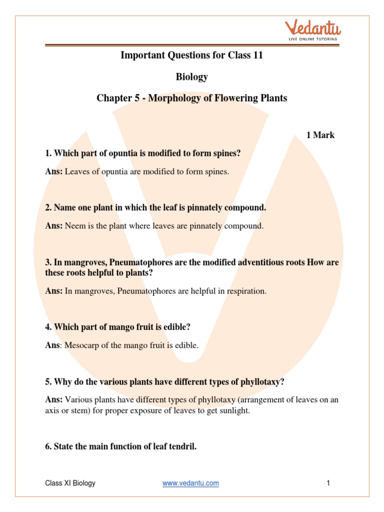 CBSE Class 11 Biology Chapter 5 - Morphology of Flowering Plants ...