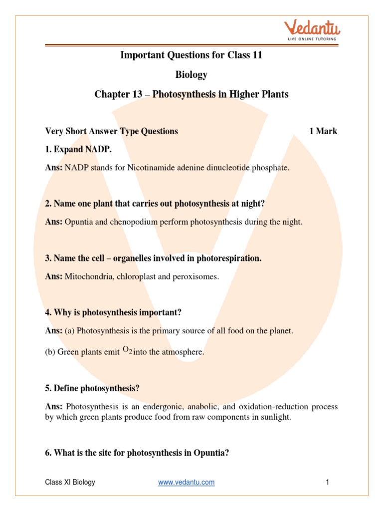CBSE Class 11 Biology Chapter 13 - Photosynthesis in Higher Plants Important Questions 2022-23 ...