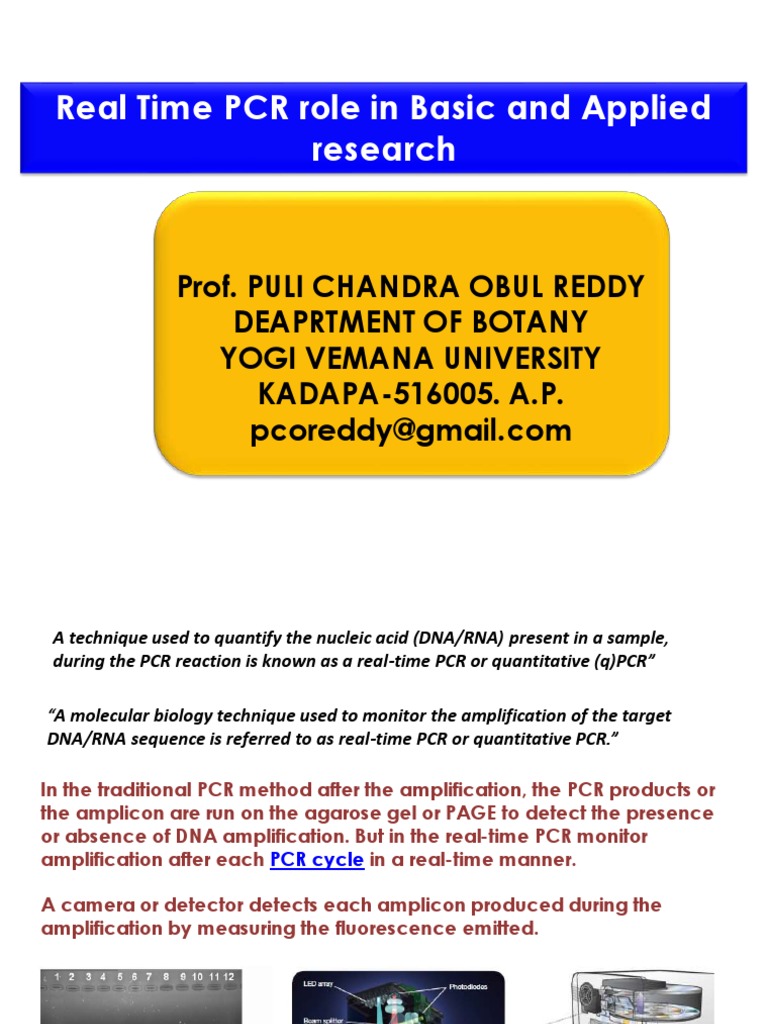 PCOR QRT PCR | PDF | Real Time Polymerase Chain Reaction | Polymerase ...
