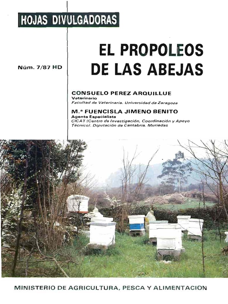 Propóleos de Abejas: Usos y Beneficios | PDF | Apicultura | Colmena