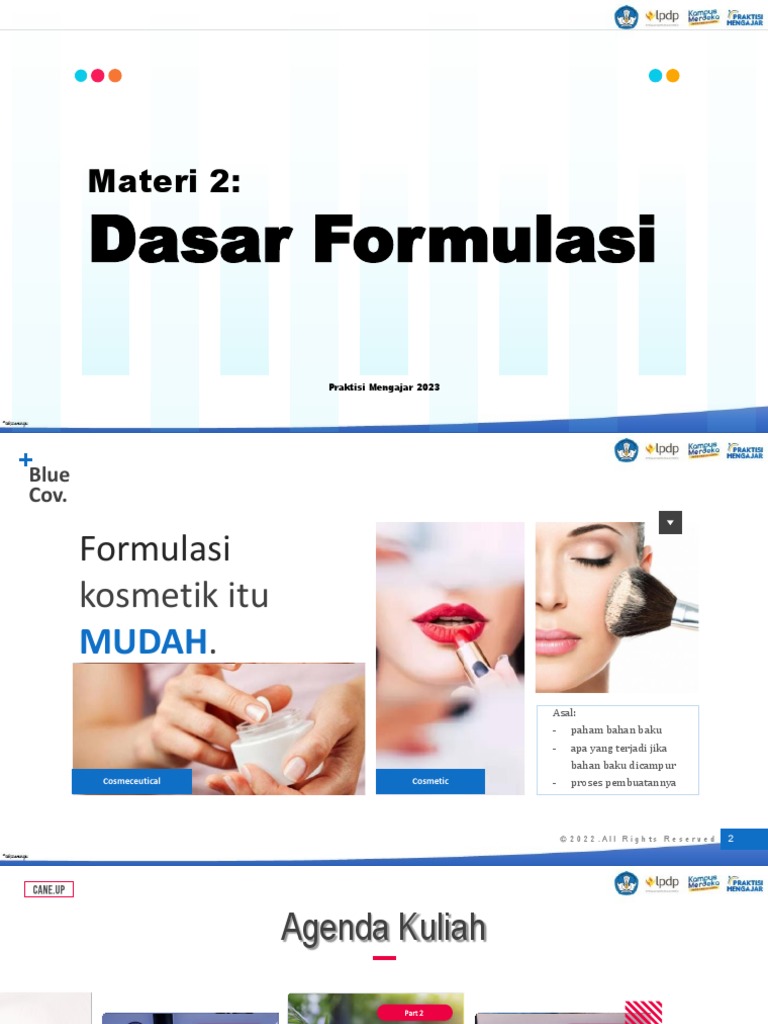 Dasar - Dasar Formulasi Kosmetika | PDF