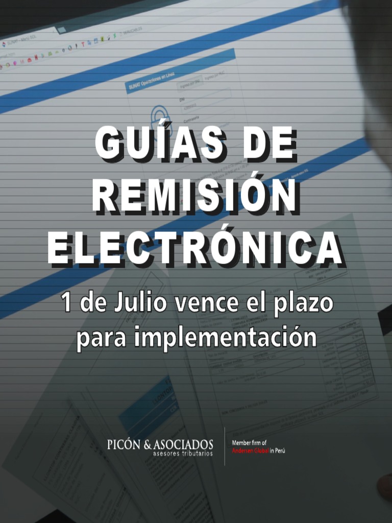 Guia de Remision Electronica | PDF