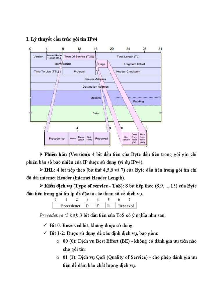 Hướng dẫn bài tập gói tin IP | PDF