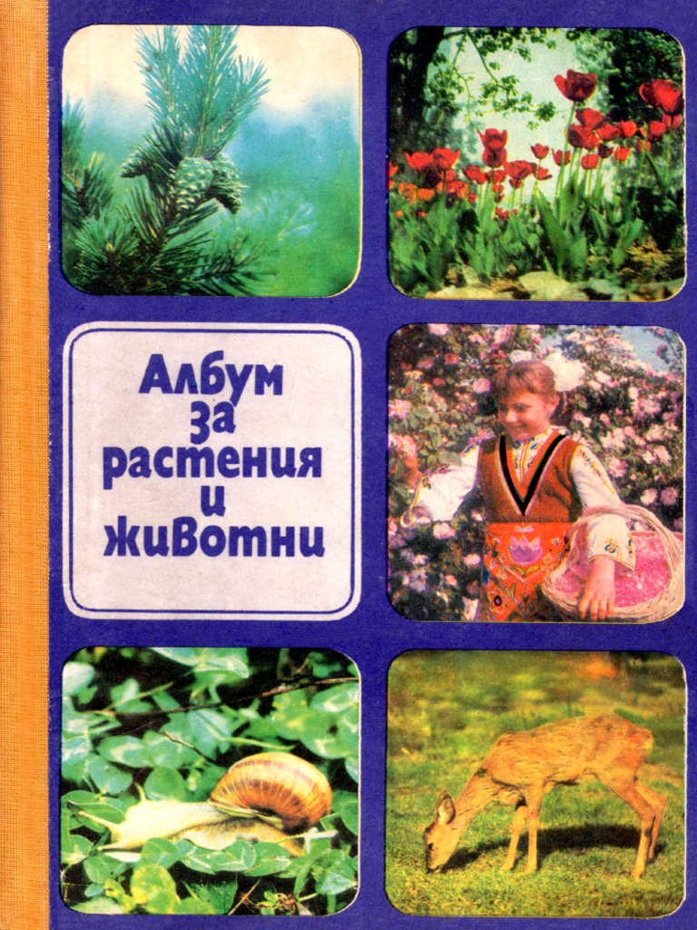 Nikolaj_Boev_Slavcho_Petrov_Pavel_Krystev_-_Album_za_rastenija_i ...