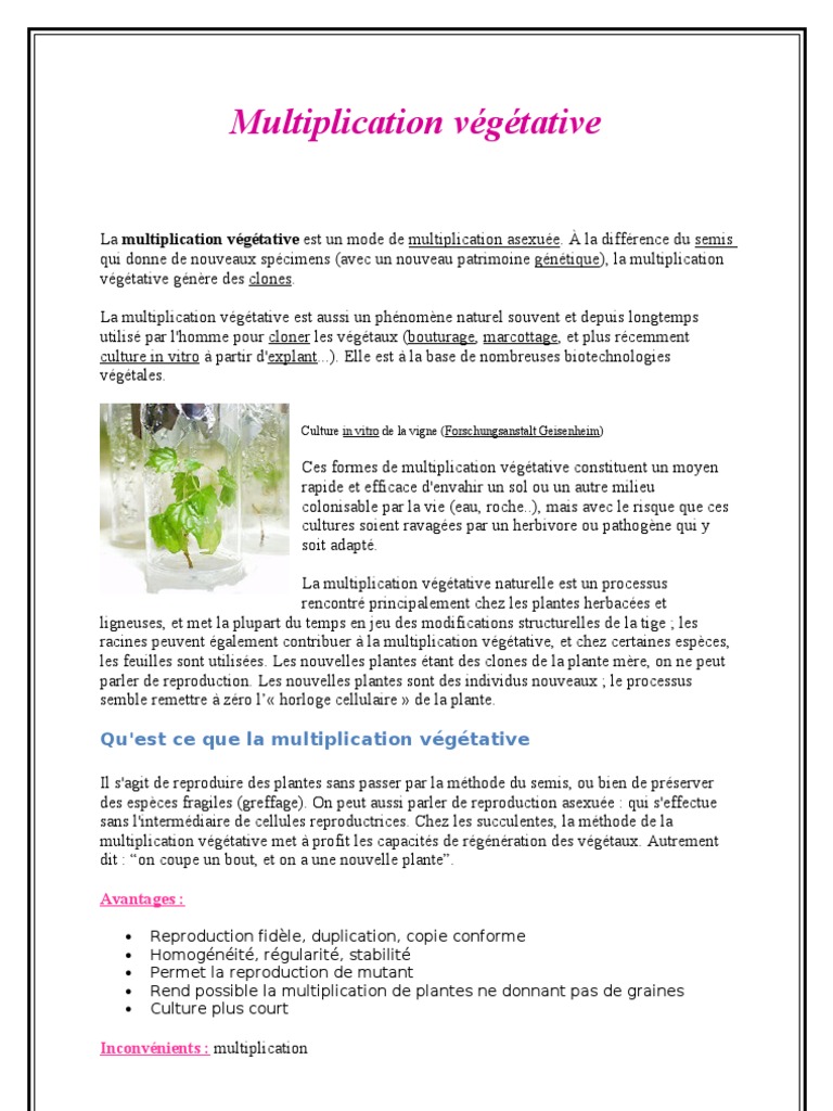 Multiplication Végétative | PDF | Greffe (botanique) | Reproduction ...