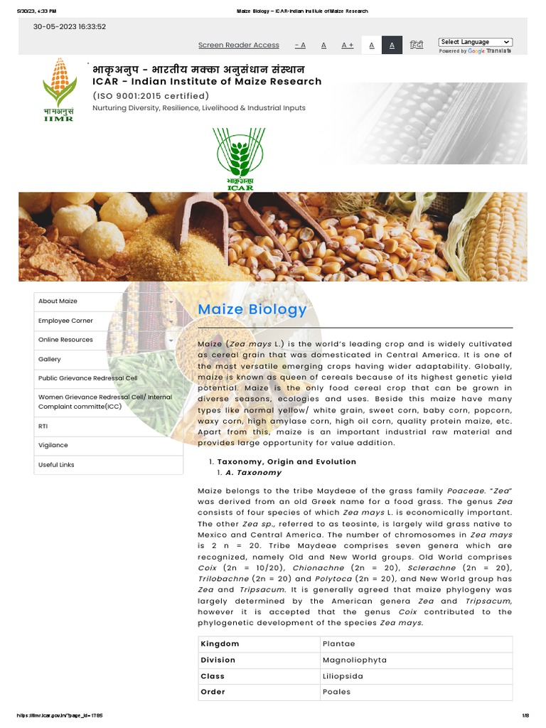 Maize Biology – ICAR-Indian Institute of Maize Res_230530_173434 | PDF ...