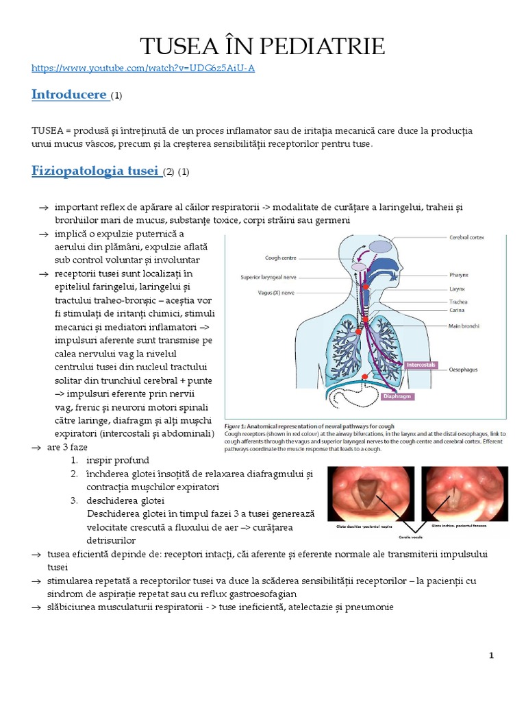 Tusea În Pediatrie | PDF