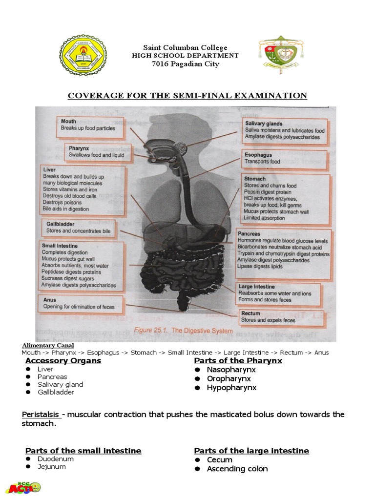 Coverage For The Semi-Final Exam - Science | PDF
