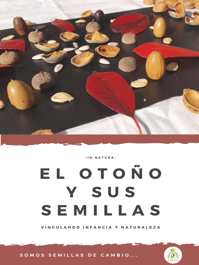 Semillas de Otoño y Creatividad Infantil | PDF