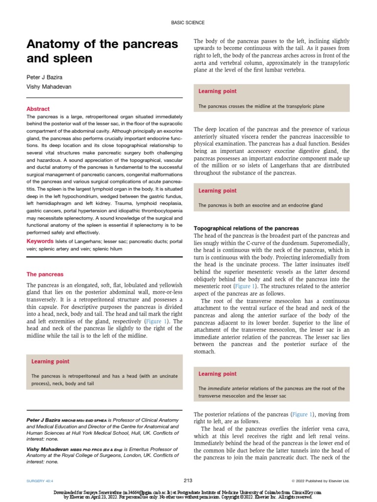 Anatomy of The Pancreas and Spleen | Download Free PDF | Pancreas | Spleen