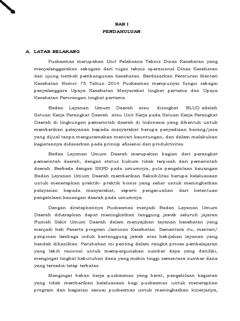 dRAFT CONTOH TATA KELOLA BLUD | PDF