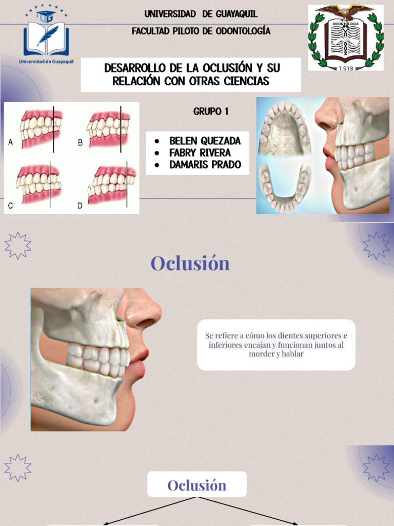 Desarrollo de la oclusion (3) | PDF | Odontología | Diente
