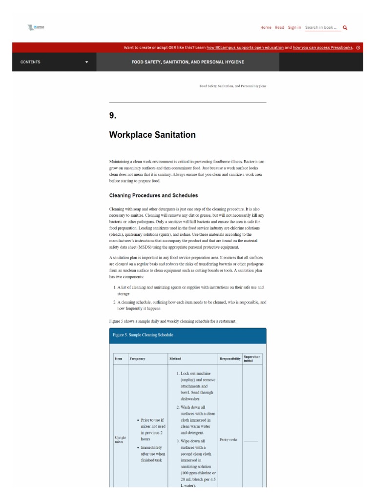 Cleaning Checklist Guidelines | PDF