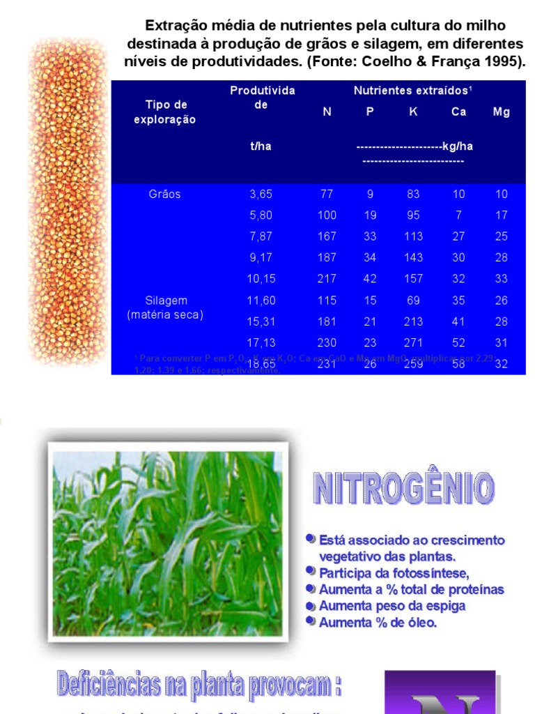 Nutrientes na Cultivo de Milho | PDF | Micronutriente | Fertilizante