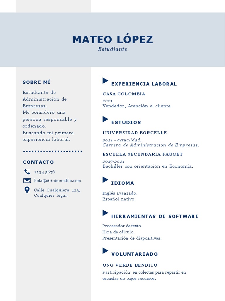 CV Sin Foto Trabajo Formal Joven Blanco Azul | PDF