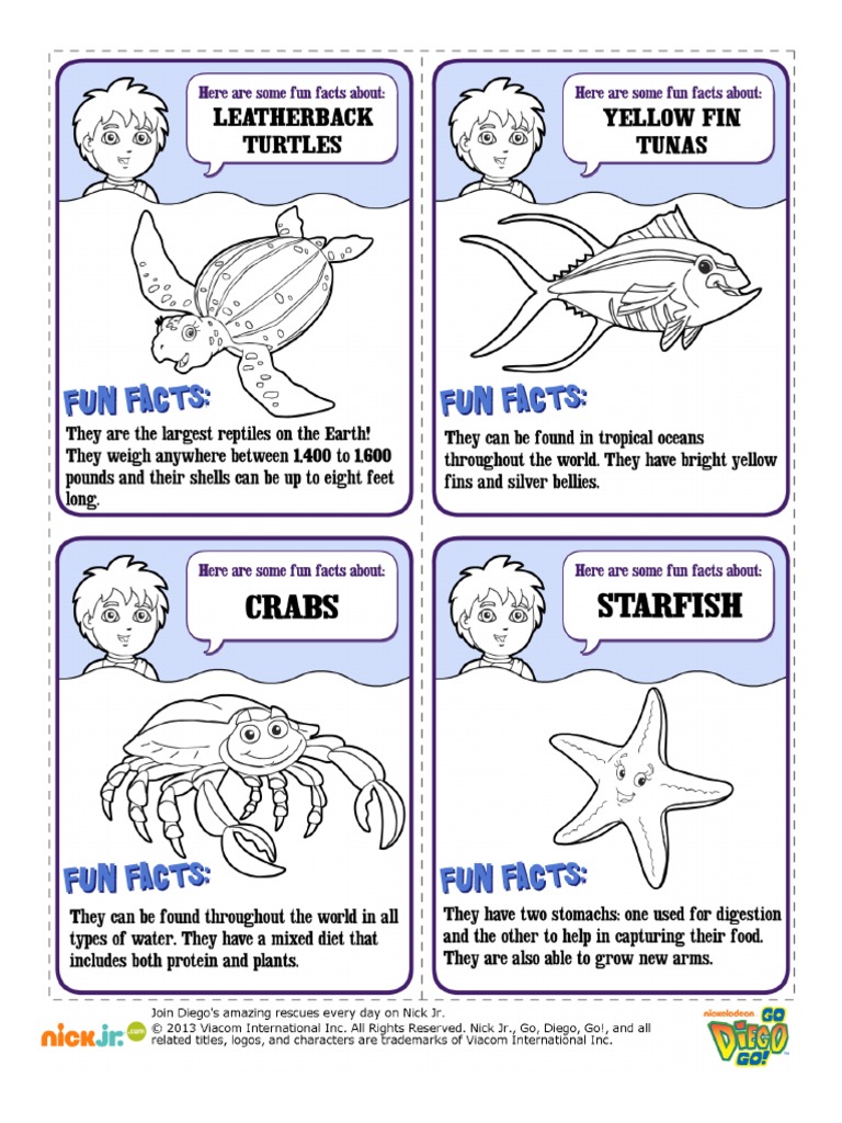 Diego's Underwater Flash Cards | PDF