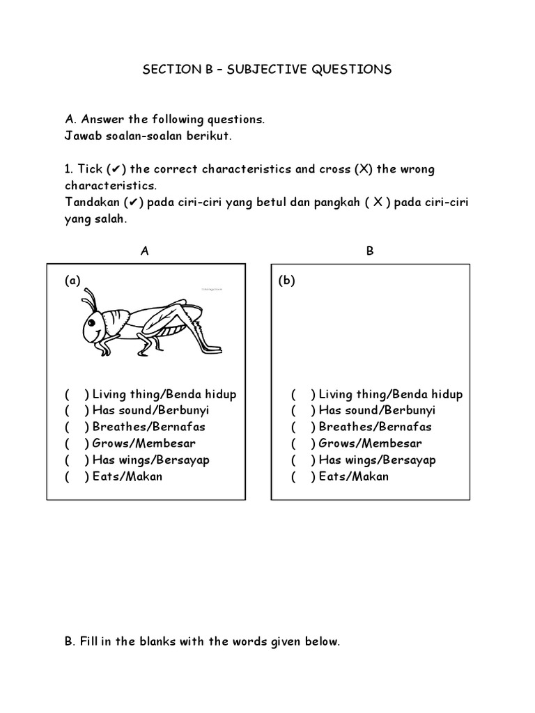 Science Year 2 Subjective | PDF | Language Arts & Discipline | Wellness