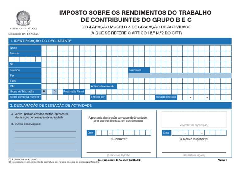 Pdfs - 11 IRT Modelo 3 Grupo B C Declaracao de Cessacao de Actividade | PDF