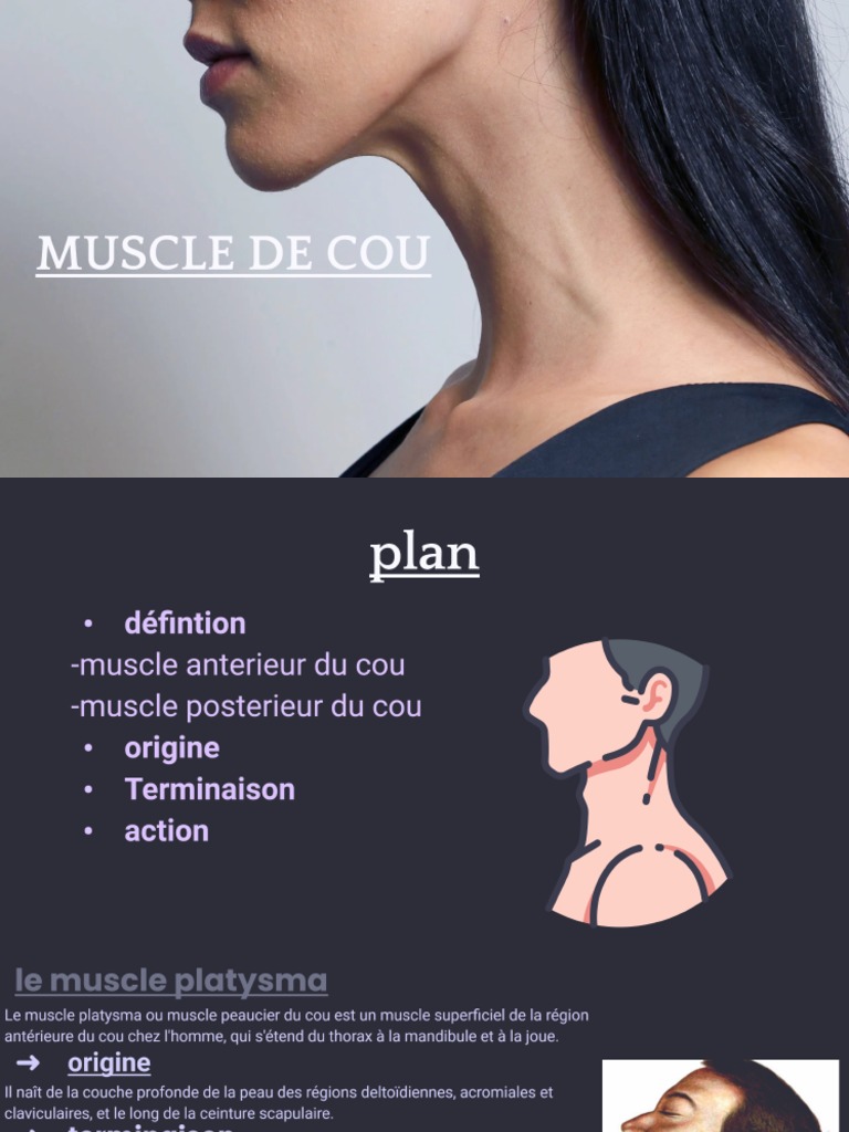 Muscle de Cou | PDF