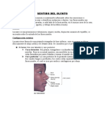 Deterioro Rostrocaudal: Etiología | PDF | Medicina | Sistema nervioso