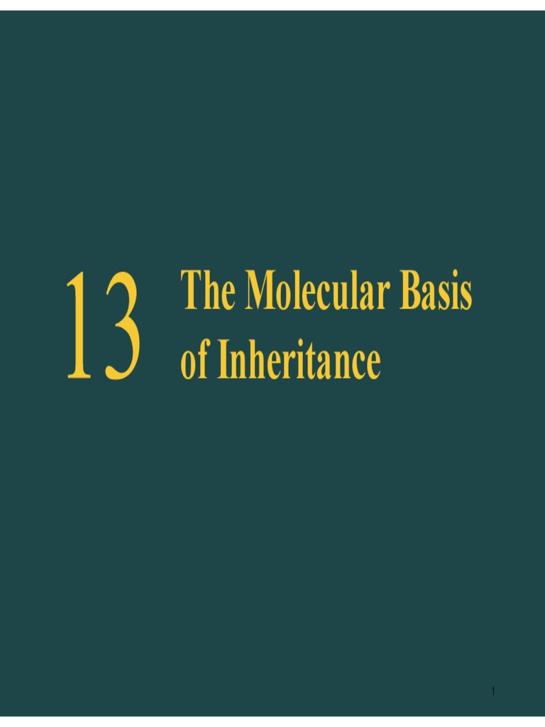 Chapter 13 the Molecular Basis of Inheritance_PPT Slides 2022 | PDF ...