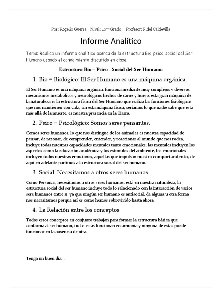 Informe Analítico | PDF