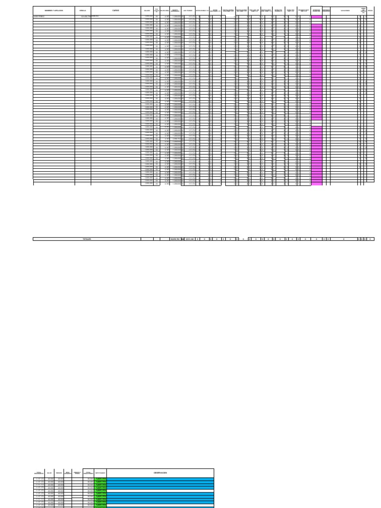 Formato Nomina Con Tirilla | PDF