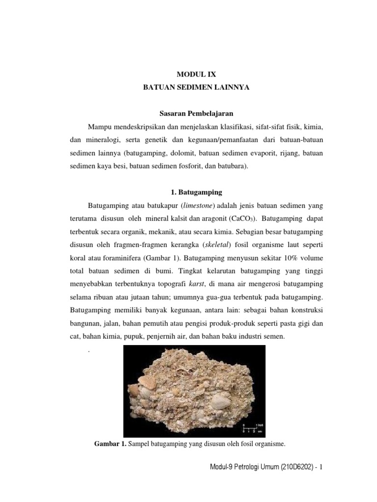 Modul_09_Petrologi-Umum_Batuan-Sedimen-Lainnya__20625__0 | PDF