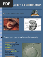 Desarrollo del Saco Coriónico en Humanos | PDF | Ciencia y matemáticas