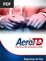 Estrutura do SIPAER e Atribuições | PDF | Aviação