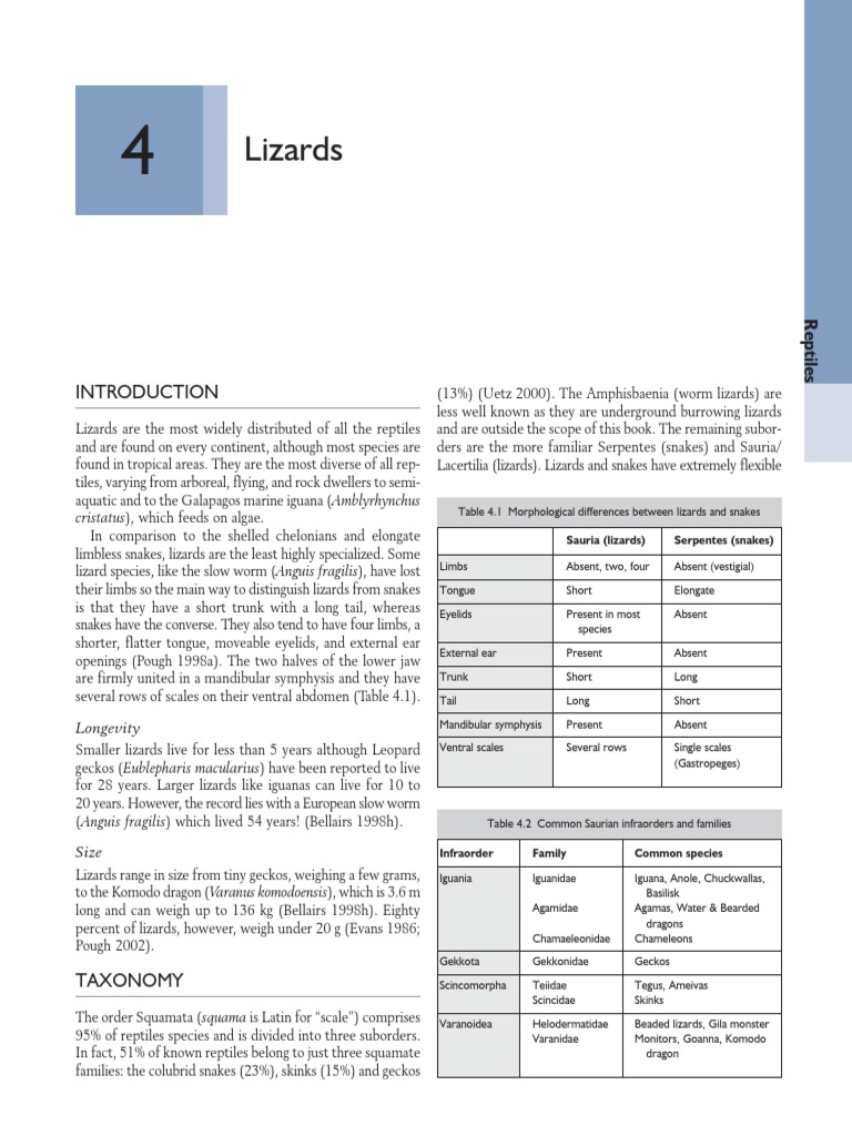 Cap. 04 - Lizards | PDF | Lizard | Lung