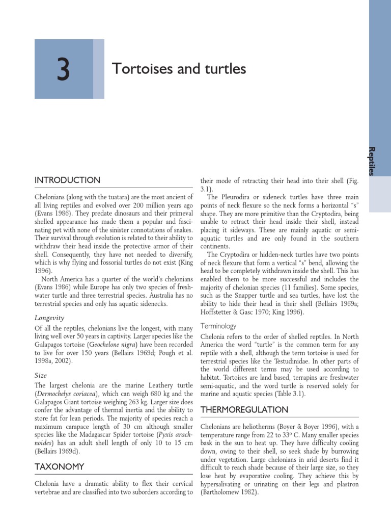 Cap. 03 - Tortoises and turtles | PDF | Turtle | Reptile