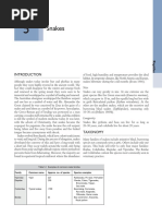 Snake Anatomy and Organ Systems Overview | PDF | Snake | Lung