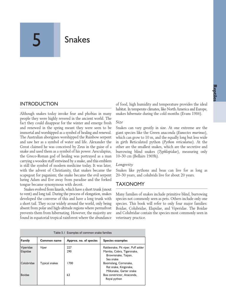 Cap. 05 - Snakes | PDF | Snake | Human Anatomy