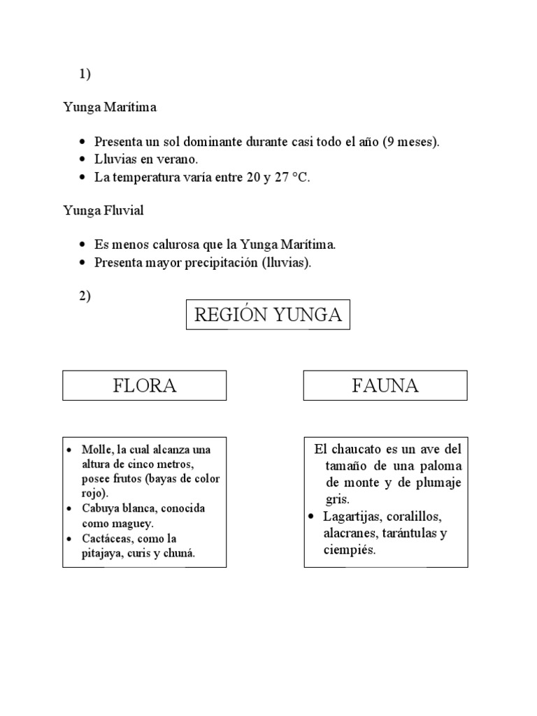 Yunga Marítima | PDF | Hogar, jardinería y bricolaje