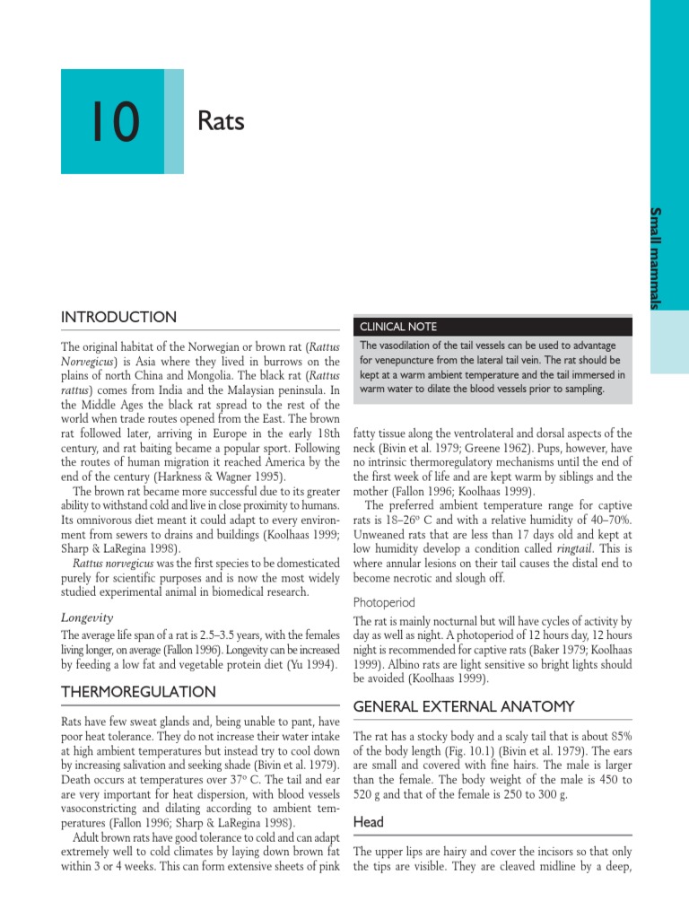 Cap. 10 - Rats | PDF | Tooth | Stomach