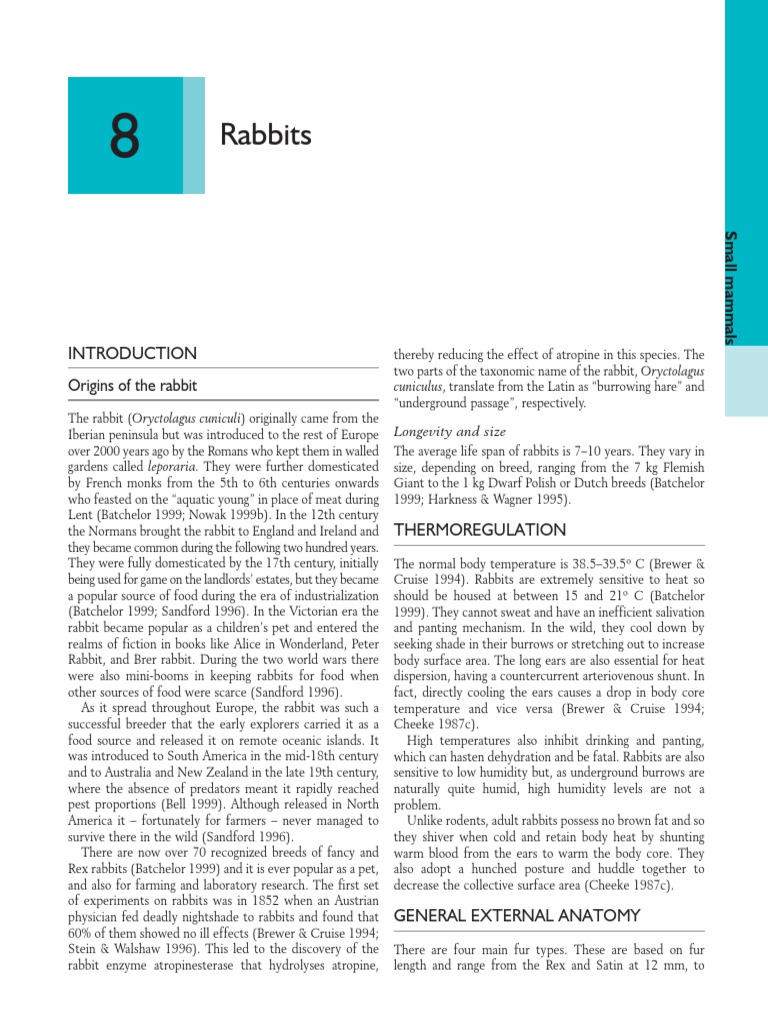 Cap. 08 - Rabbits | PDF | Tooth | Lung