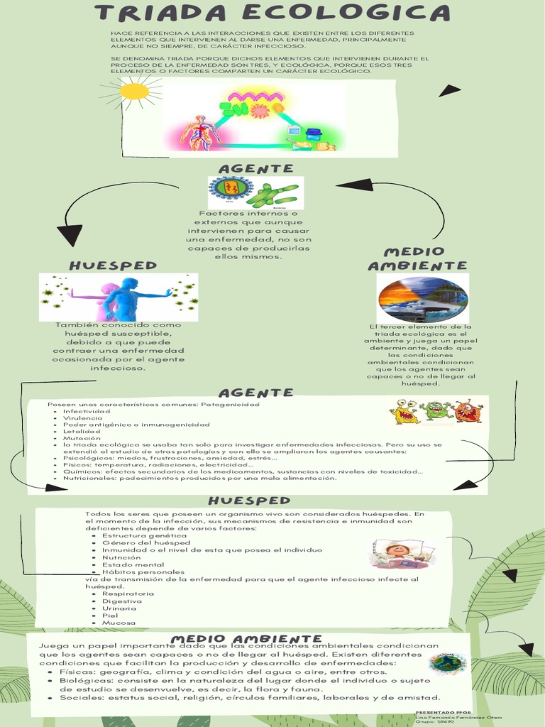 INFOGRAFIA TRIADA ECOLOGICA | PDF | Infección | Sistema inmune