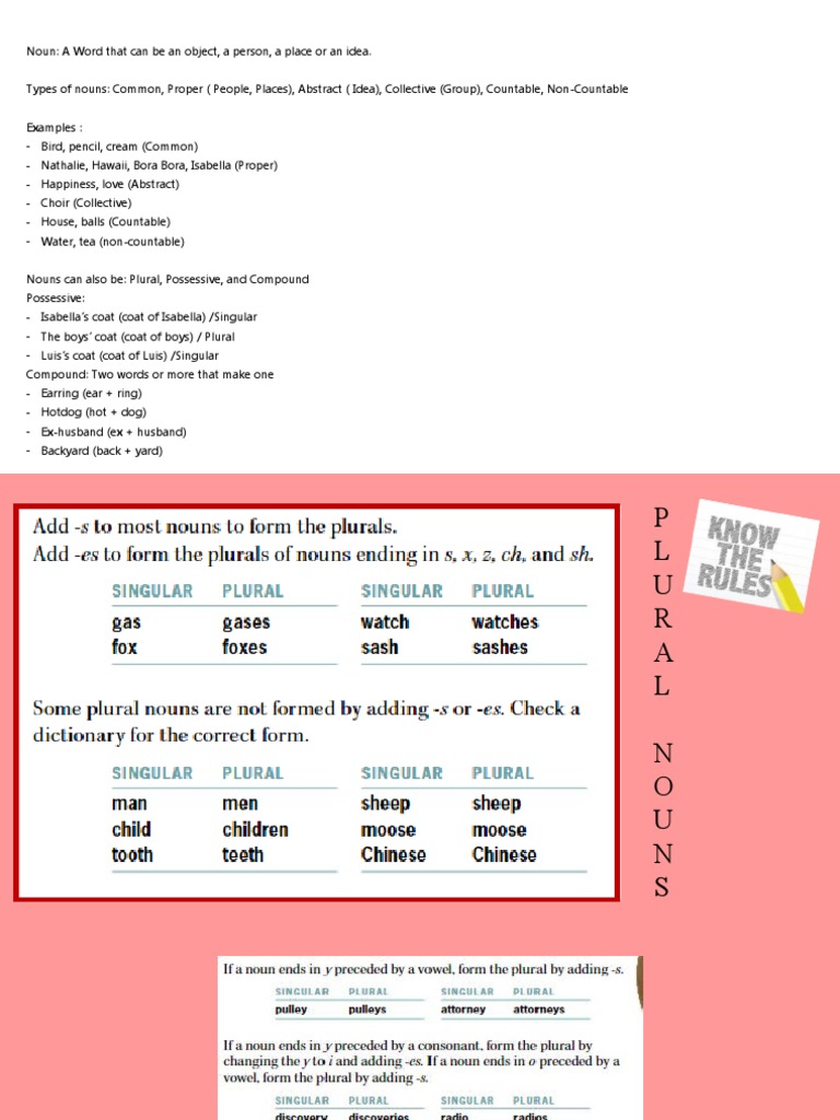 Plural and Possessive Nouns | PDF | Plural | Grammatical Number