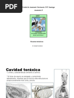 Anatomía Del Hueso Del Húmero Del Perro AnatomyLearner - El Lugar para ...