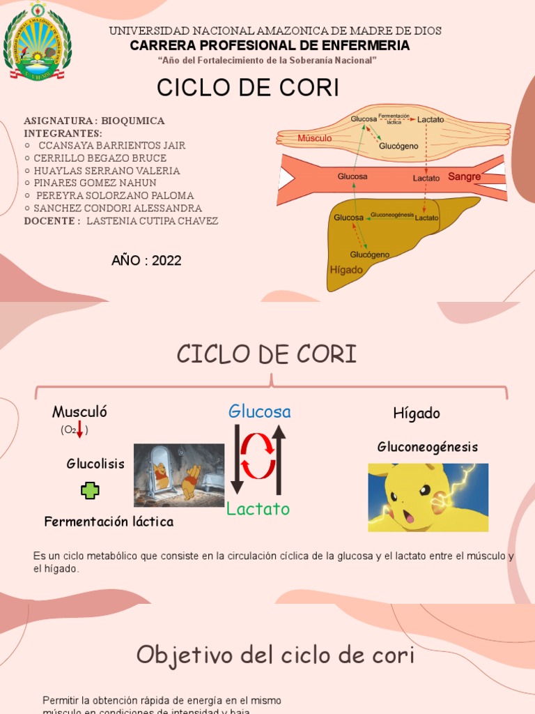 CICLO DE CORI | PDF