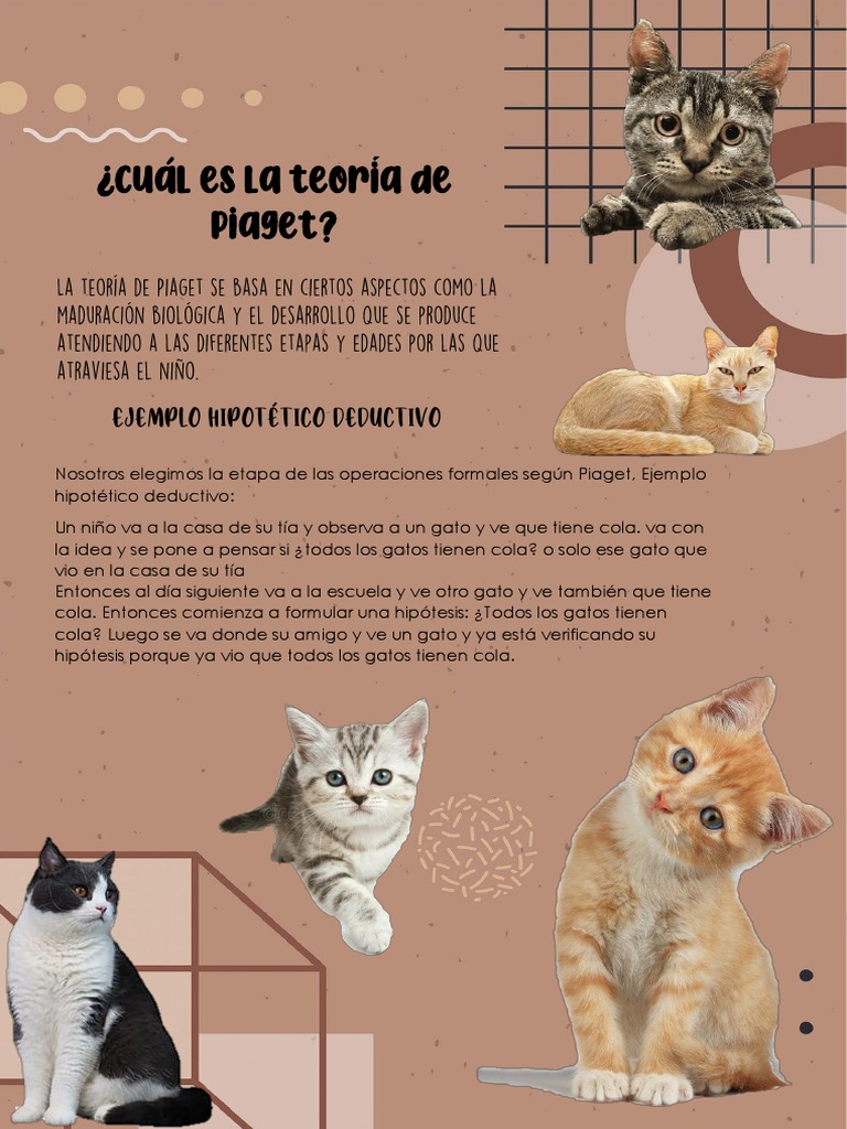 Teoria de Piaget c3 | PDF