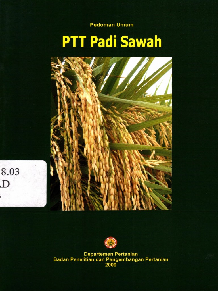 Pedoman PTT untuk Budidaya Padi Sawah | PDF