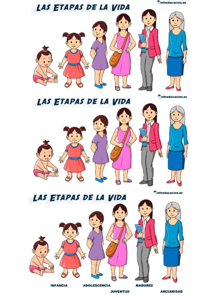 Etapas de La Vida | PDF